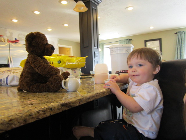 Tea Party With Teddy - A Thrifty Mom
