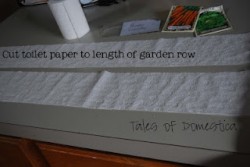 DIY Seed Tape for Gardens~ Garden Tips – A Thrifty Mom