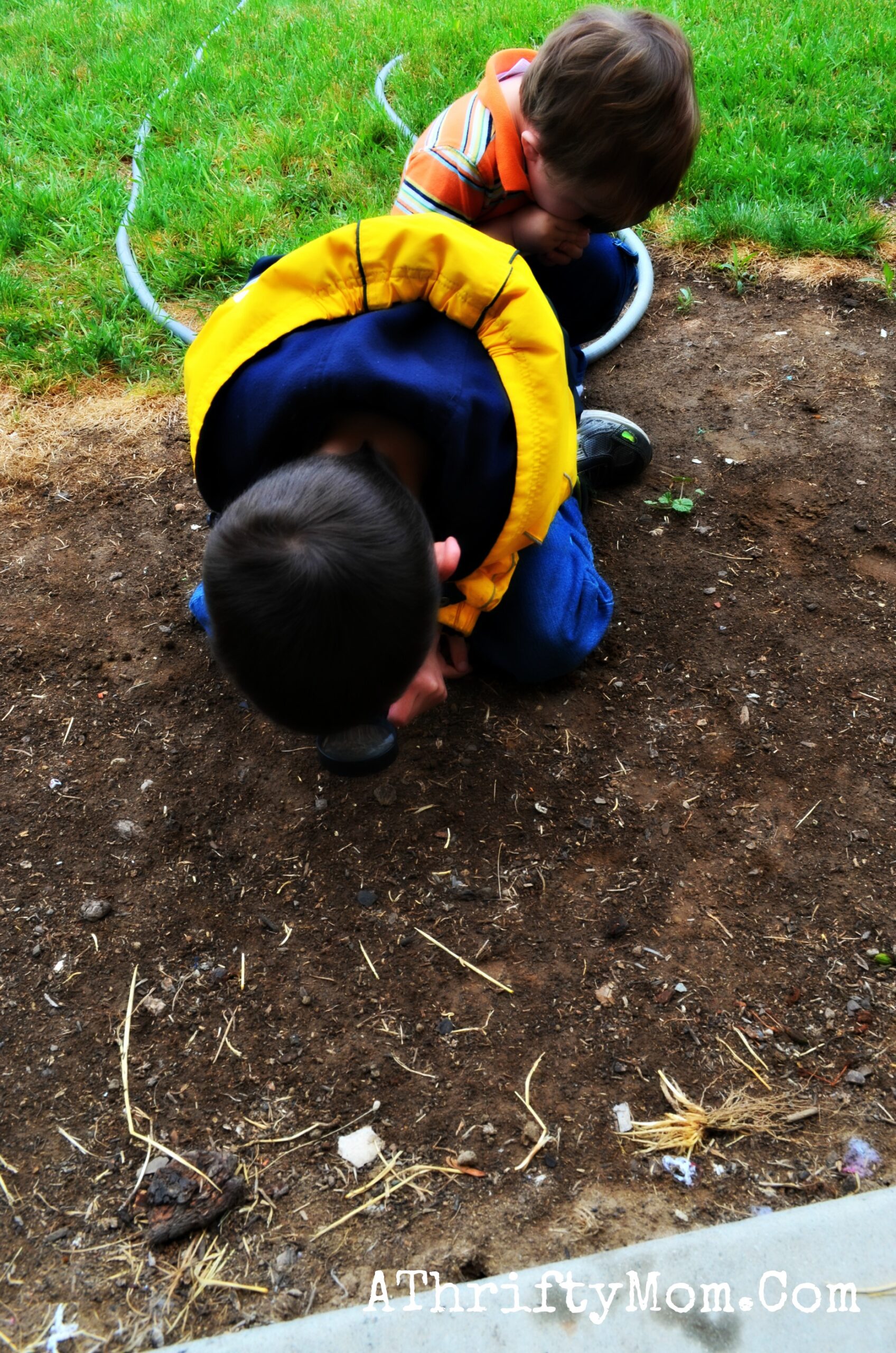 Be a Backyard Detective ~ Activities to do with kids this summer - A ...