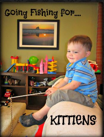 Have you ever gone fishing for a kitten? – A Thrifty Mom