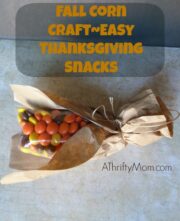 Thanksgiving Ideas, Crafts, DIY, Recipes and more ~ 20 fast and easy ...