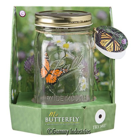 Butterfly In A Jar - Fun toy to keep - Just like real thing - A Thrifty Mom