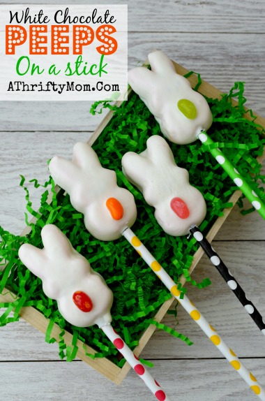 Peeps on a stick covered in white Chocolate ~ Easter Treat – A Thrifty Mom