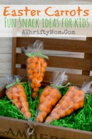 Easter Carrots Fun Snack Idea for Kids ~ Easter Snack – A Thrifty Mom