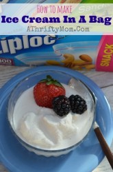 How to Make Ice Cream In A Bag ~ Ziploc Recipe fun for the whole family ...