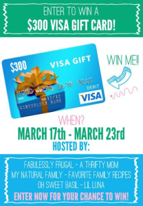 $300 Visa Gift Card Giveaway ~ Enter to win – A Thrifty Mom