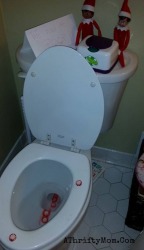 Elf On the Shelf Ideas ~ A Fun Family Christmas Tradition, Day 16 #Elf ...