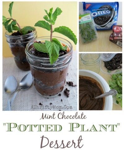 Mint Chocolate Potted Plant Dessert ~ Fun dessert idea for a party or ...