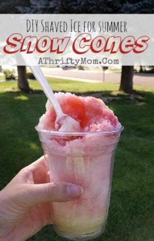 DIY Snow Cones or Shaved Ice for Summer Parties or BBQ's (Zeny Ice ...