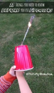11 Things you need to know BEFORE you use Fireworks – A Thrifty Mom
