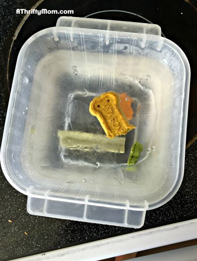 Ice block for dogs, fun summer heat relief – A Thrifty Mom