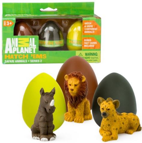 Animal Plant Hatching Eggs – Fun Activity – A Thrifty Mom