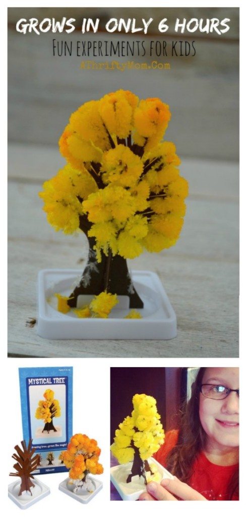 Mystical Growing Tree ~ Awesome science experiments for kids – A ...