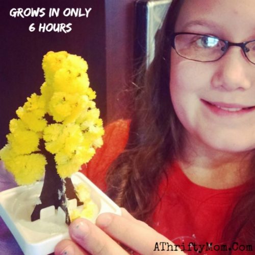 Mystical Growing Tree ~ Awesome science experiments for kids – A ...