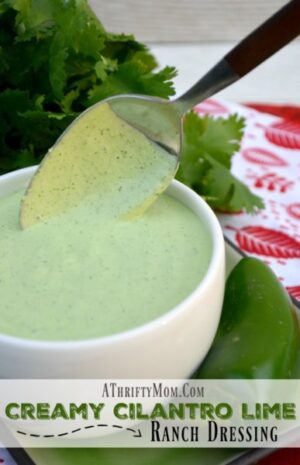 Creamy Cilantro Lime Ranch Dressing Recipe In 5 minutes – A Thrifty Mom