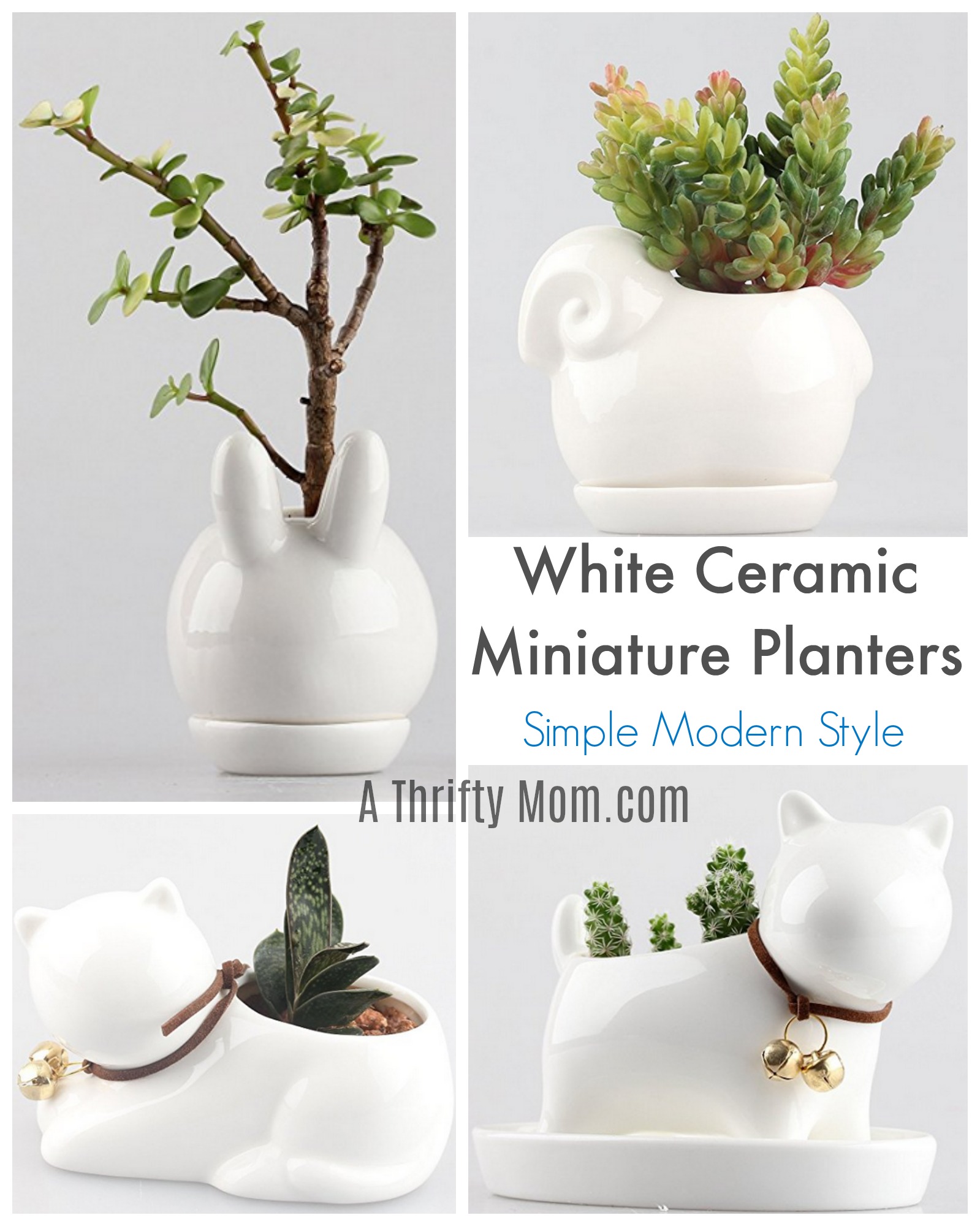 Modern Miniature Animal Planters – A Thrifty Mom
