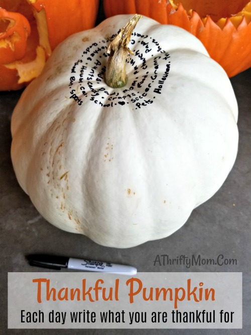 Thankful Pumpkin, Easy ways to teach kids gratitude – A Thrifty Mom