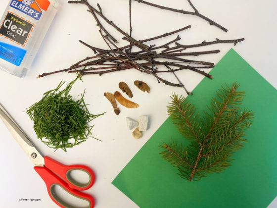 Nature craft for kids – A Thrifty Mom