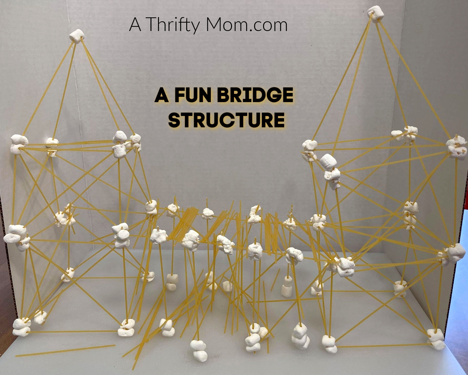 Marshmallow Noodle Structures - A Thrifty Mom