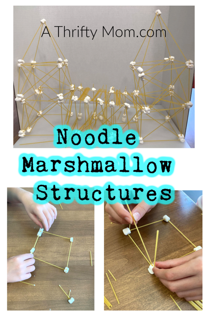 Marshmallow Noodle Structures – A Thrifty Mom