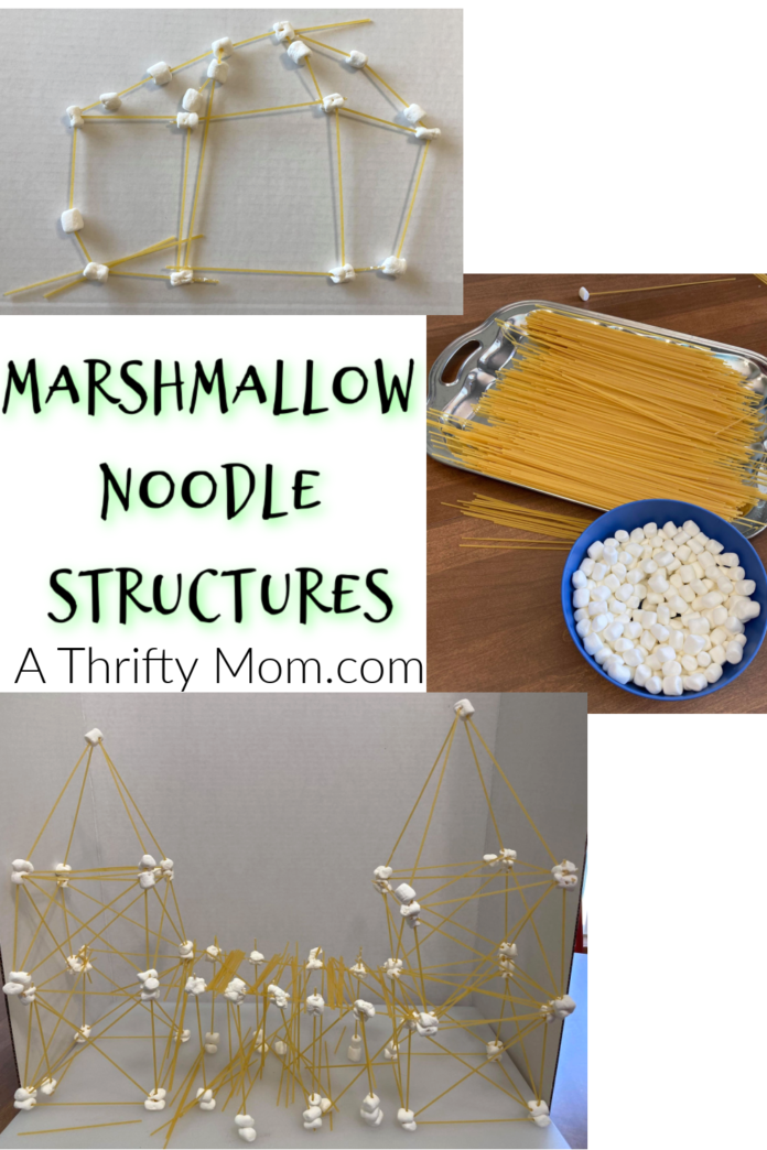 Marshmallow Noodle Structures - A Thrifty Mom