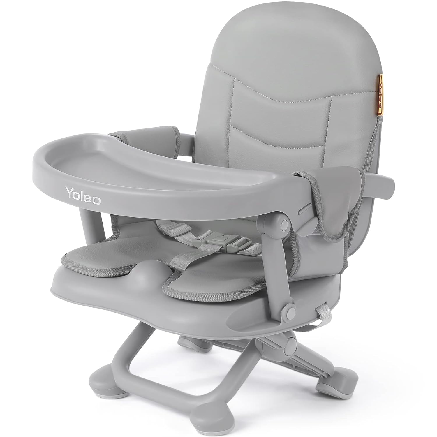 Booster high chair – A Thrifty Mom