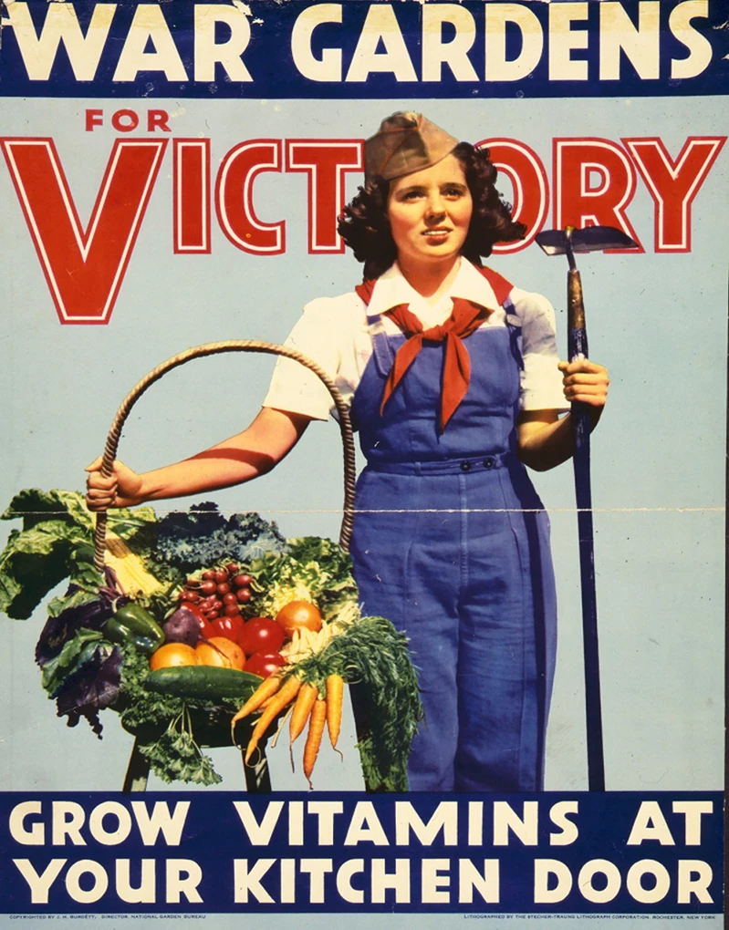 From Trenches to Tomatoes: The enduring Legacy of the Victory Garden ...